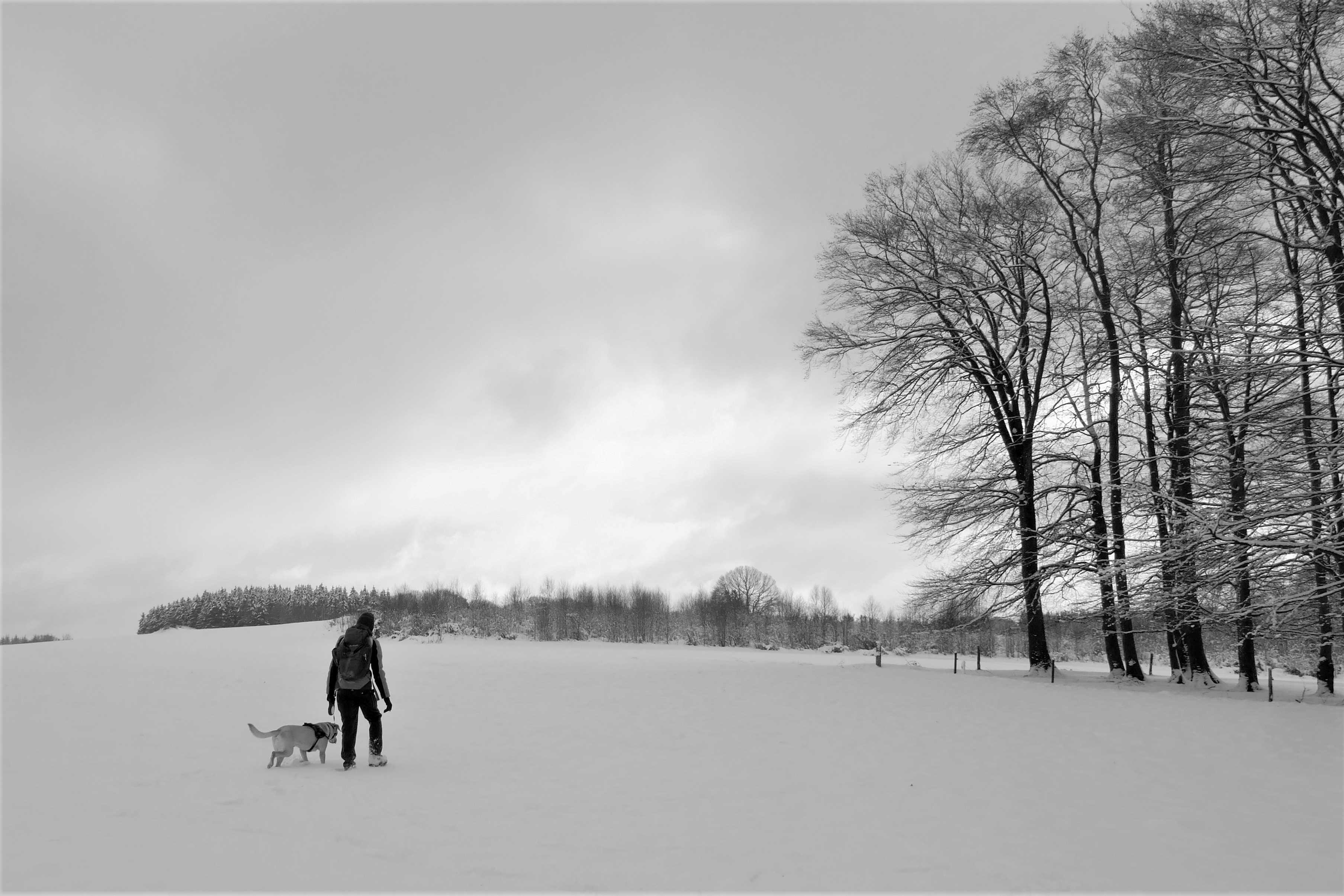 The highest point(s) in Luxembourg – Luxembourg Outdoors