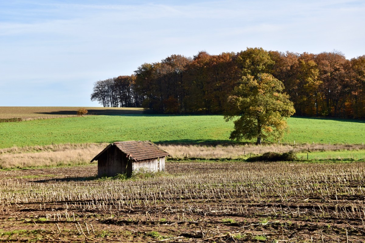 Auto-Pédestre Mertzig – Turelbaach Castle – Luxembourg Outdoors
